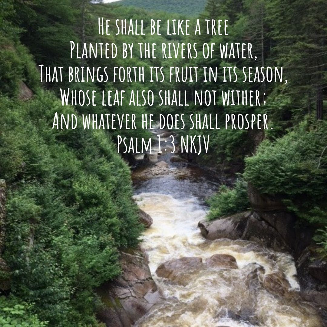 Guest Post by Stephanie Goddard / Are You Merely Alive or Are You A ...