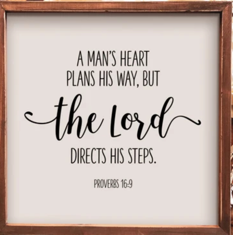 Wisdom Wednesday – Proverbs 16-9 – Desiree Future **Hope, Faith & a Smile**